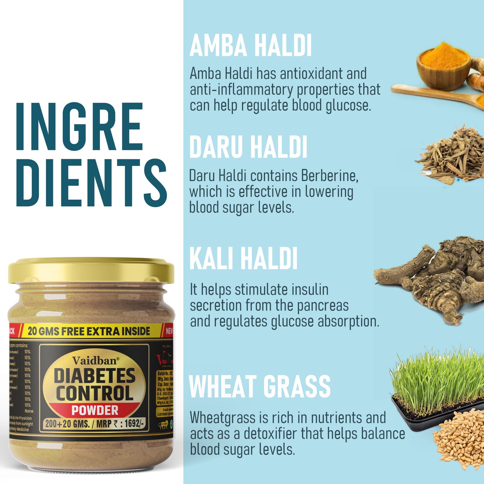 Vaidban Diabetic Control Powder - Natural Ayurvedic Solution for Balan