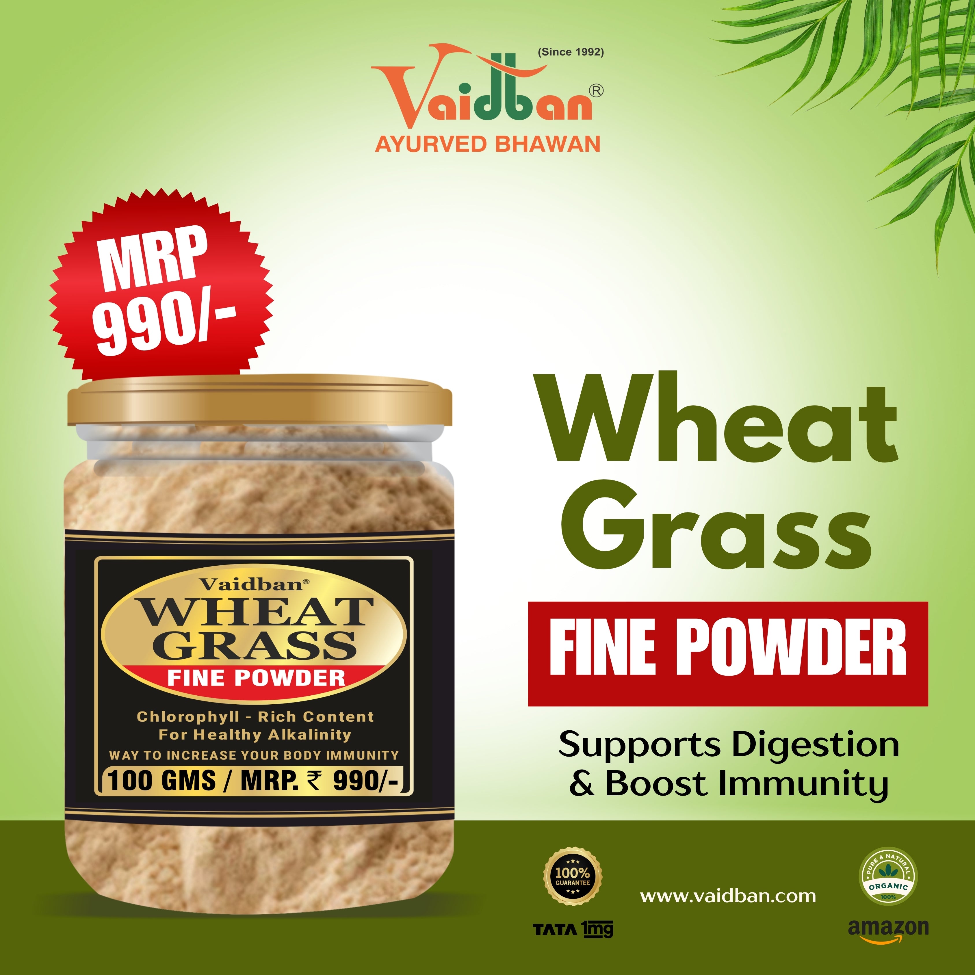 Vaidban Wheat Grass Fine Powder - Chlorophyll-Rich Superfood for Diges
