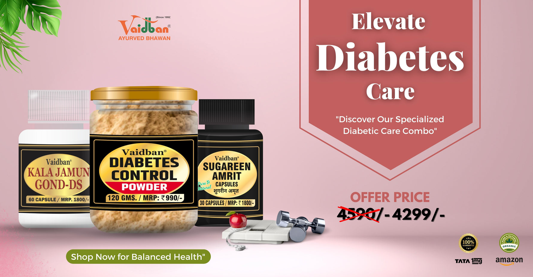 Vaidban Ayurved Bhawan - Shop Ayurvedic Medicine Online