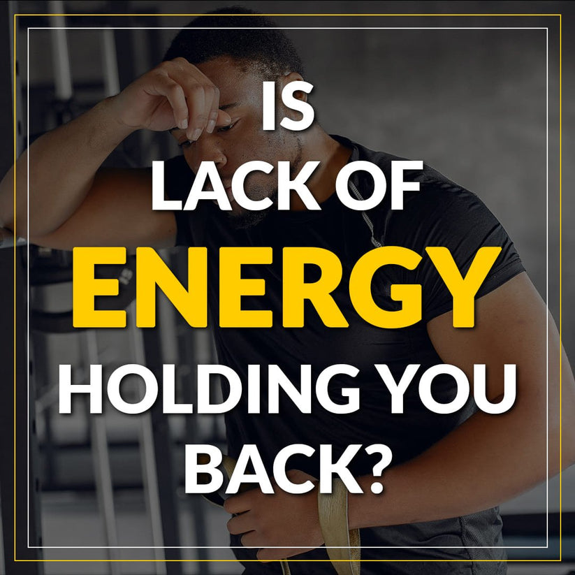 X Plus Gold Capsule For Men to enhance vitality, stamina, and holistic